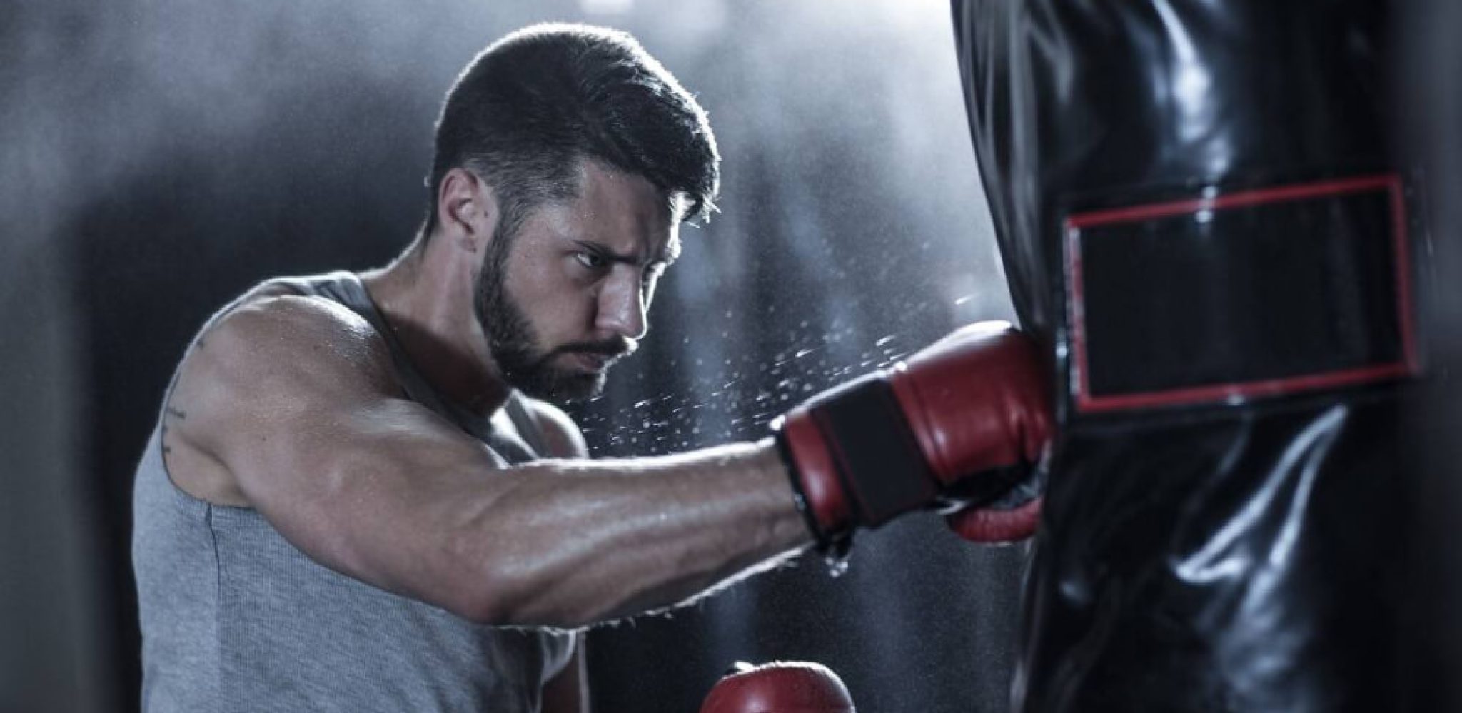 Boxovacie vrecia + Ako si vybrať? AKTUALIZ OVANÉ - Recenzer.sk